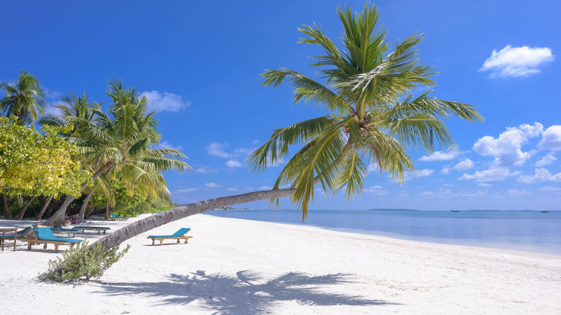 Beach Background For Ms Teams Beach Teams Background Images Tropical Beach Background For Ms Teams Beach Teams Background Images Tropical